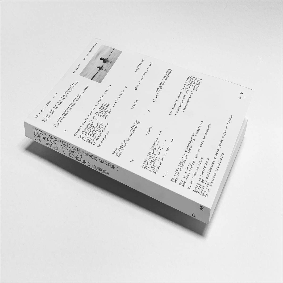 LIBRO BLANCO
