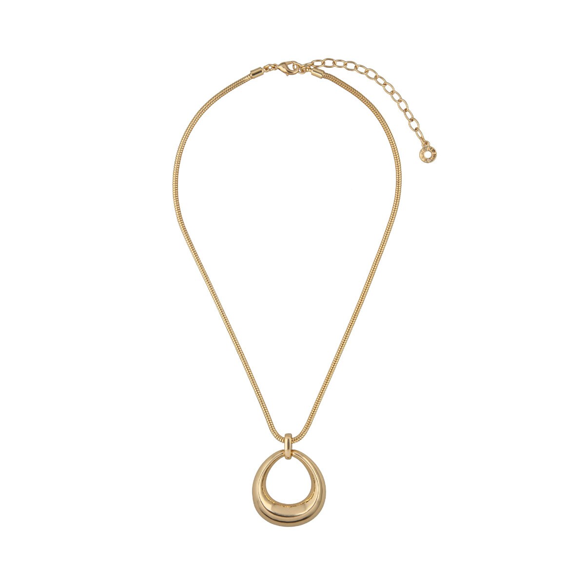 Collar Dorado Largo con Dije Anne Klein