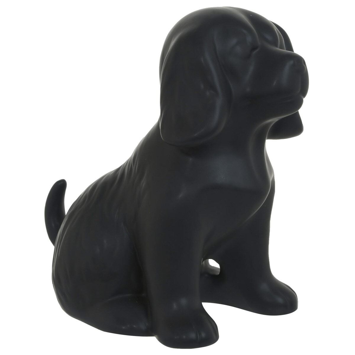 Perro orejón