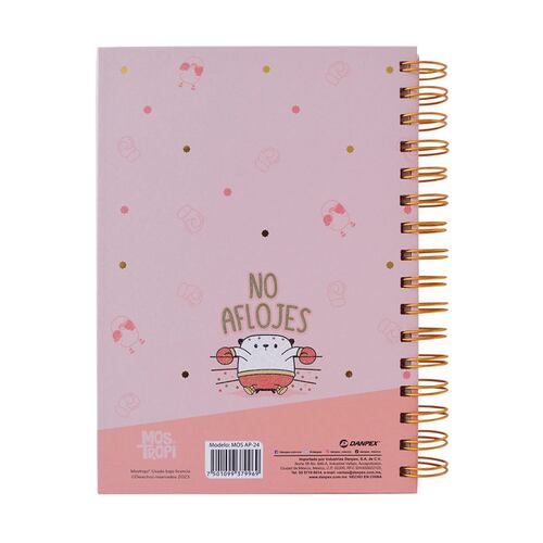 Agenda Danpex Mostropi multicolor
