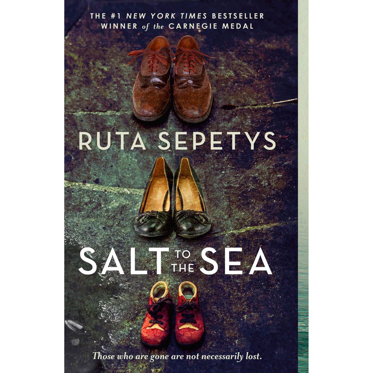 Salt to the Sea