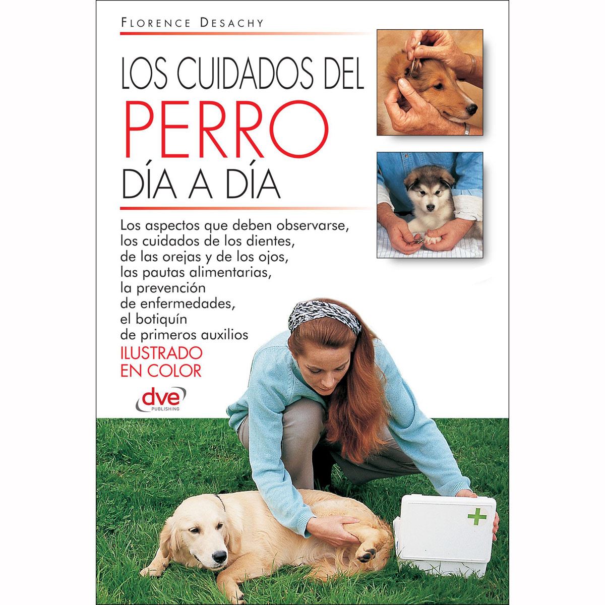 Los cuidados del perro d??a a día
