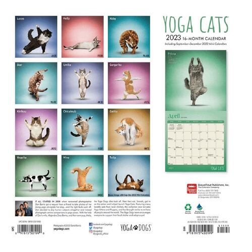 2023 Yoga Cats Square Calendario
