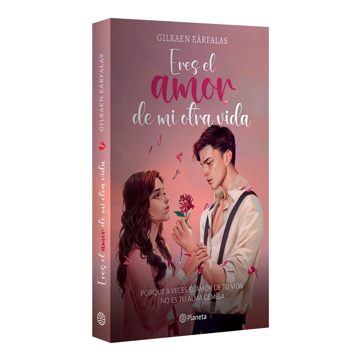 Eres el amor de mi otra vida