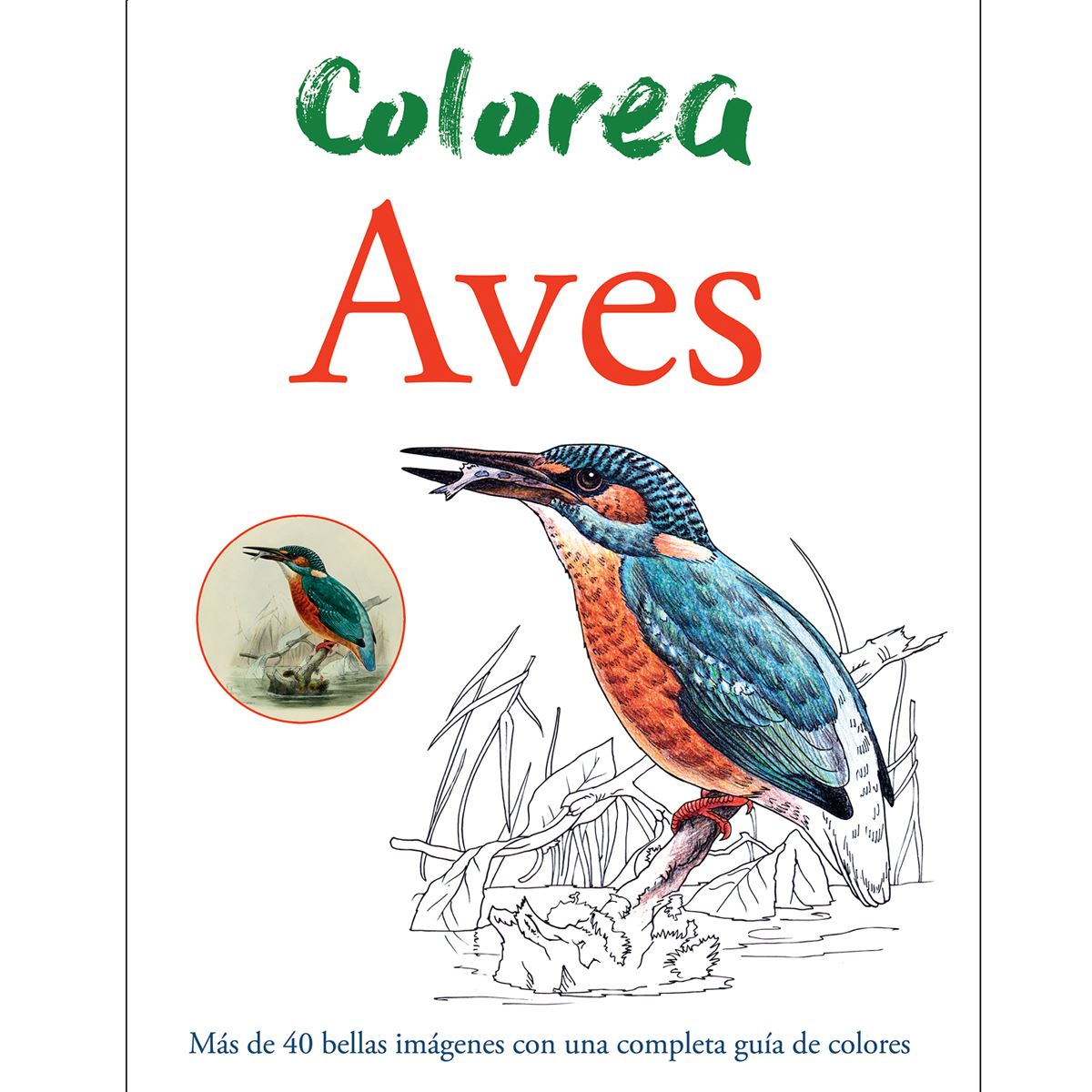 Colorea Aves