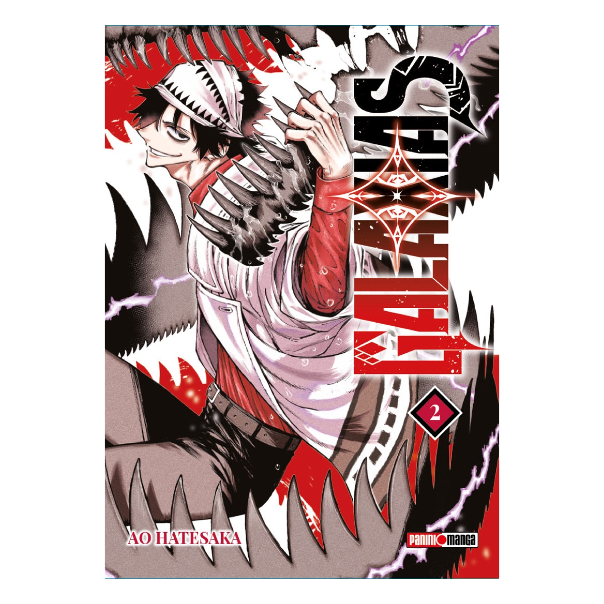 Manga Galaxias N2