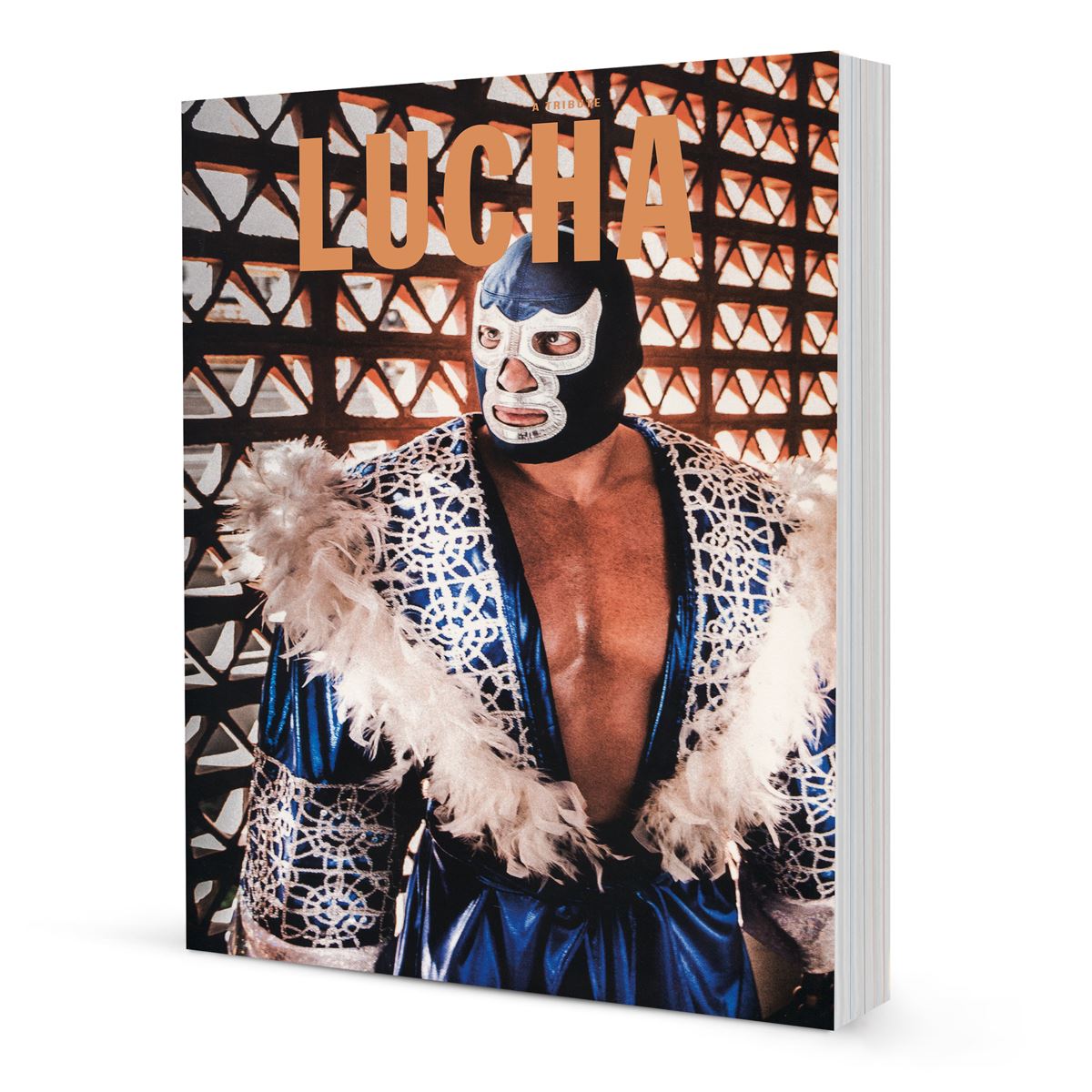 Lucha