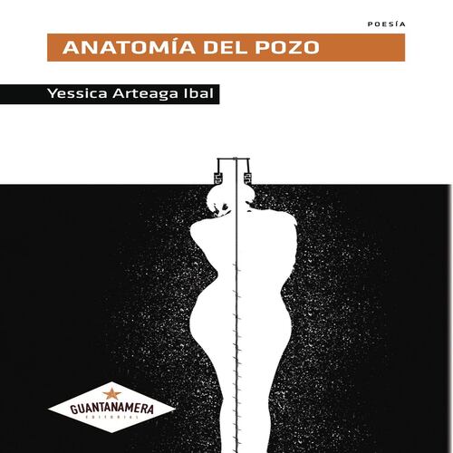 Anatomía del pozo