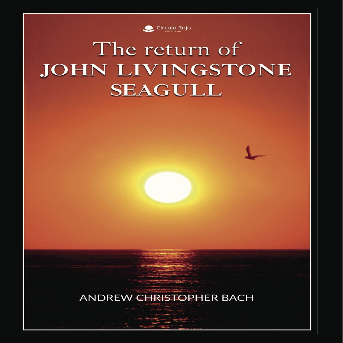 The return of John Livingstone Seagull