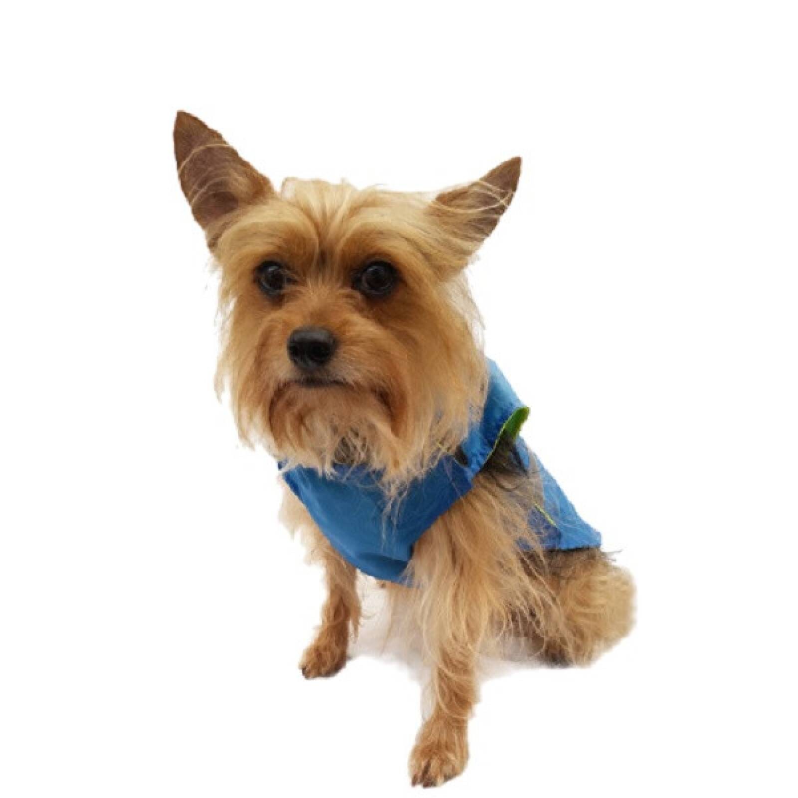 Impermeable Raincoat Turquesa Perro Talla 3 Pet Pals