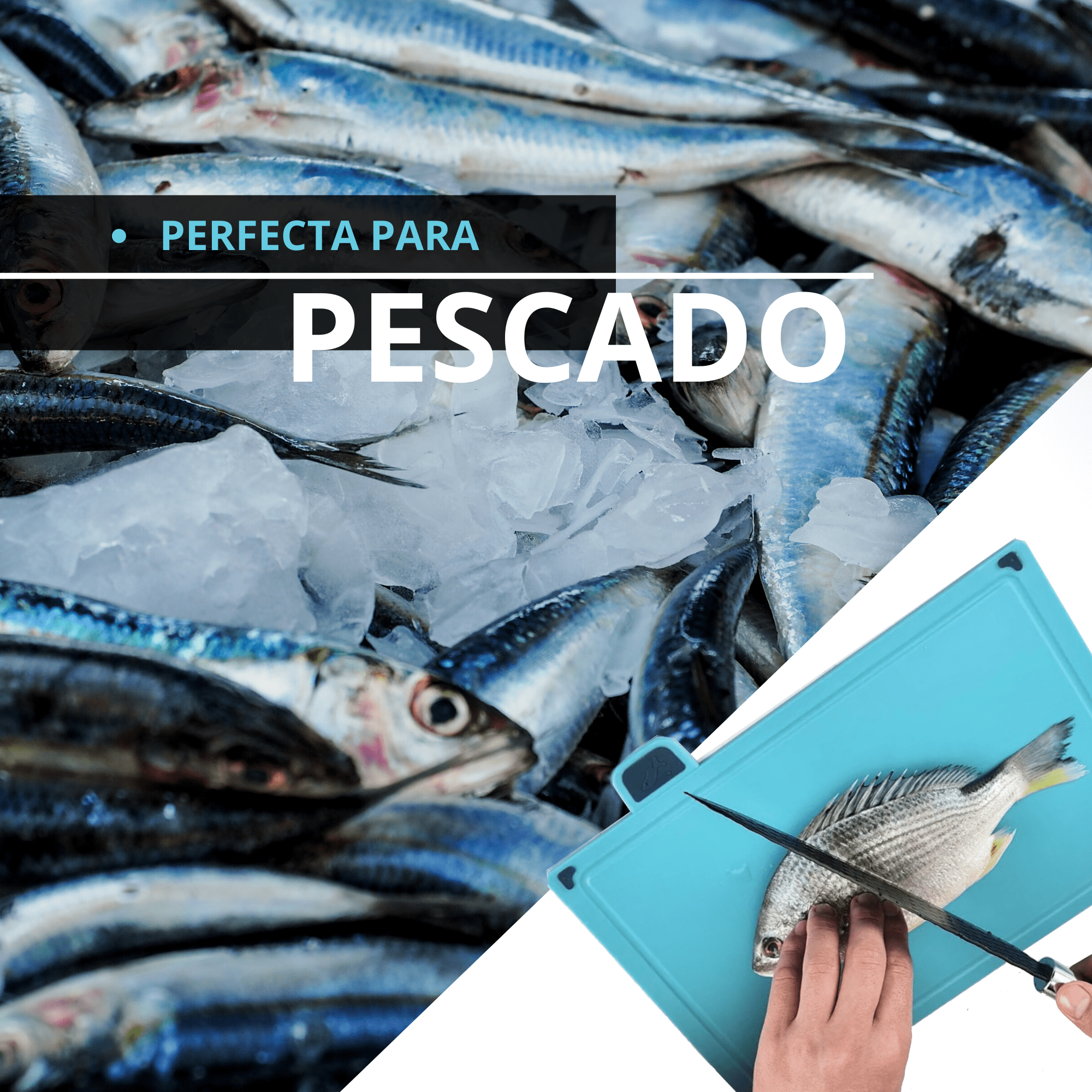 TABLAS PARA PICAR ALIMENTOS ECOMLAB COCINA 4 TABLAS CON BASE.