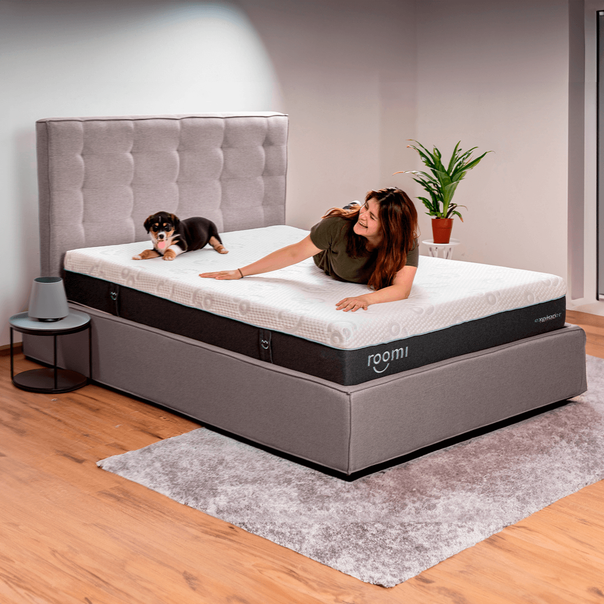 Base Individual Para Colchón Roomi Box Tapizado Gris