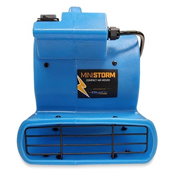 BlueDri Mini Storm 1/12 HP Mini Air Mover Carpet Dryer Floor Squirrel ...