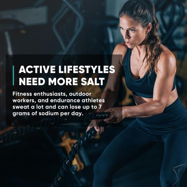 Venture Pal High Sodium Sugar Free Electrolytes Powder Packet ...