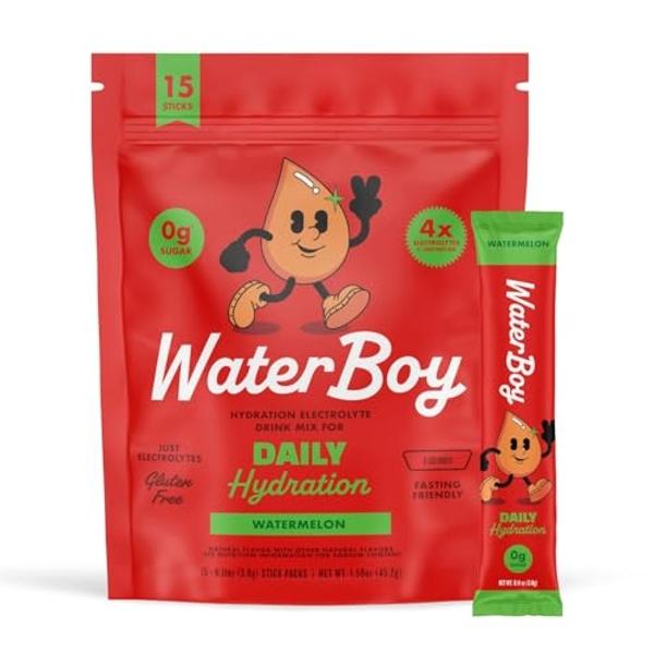 Waterboy Daily Hydration | 1,570mg Electrolyte Powder Packets | No ...