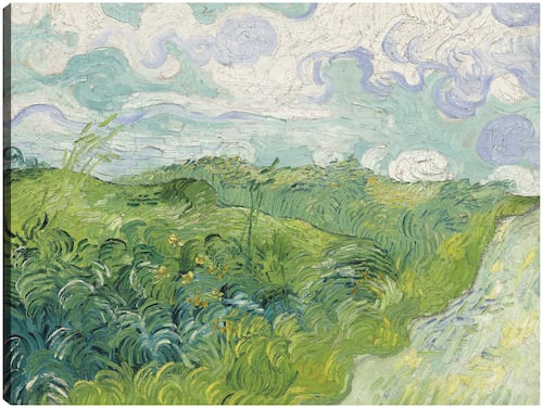 Cuadro decorativo - Canvas -Campos de trigo verde, Auvers (1890) de ...
